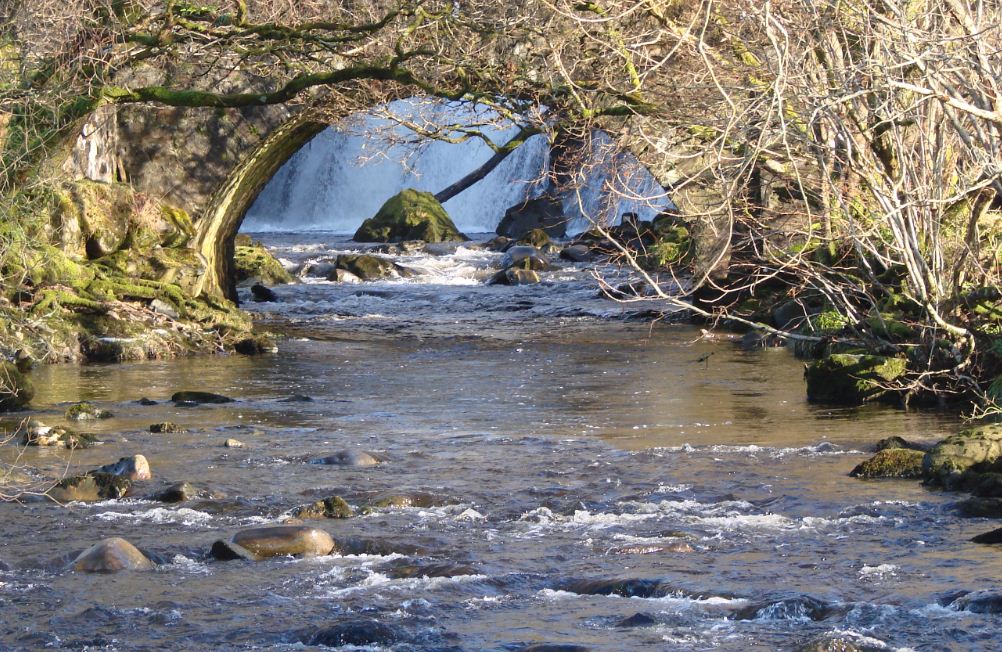 wefishfly | Fishing and Photos